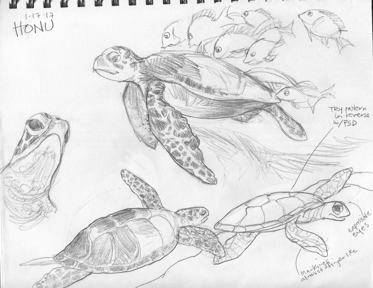 Aloha Friday Art: SEA TURTLES - KidLit Edna